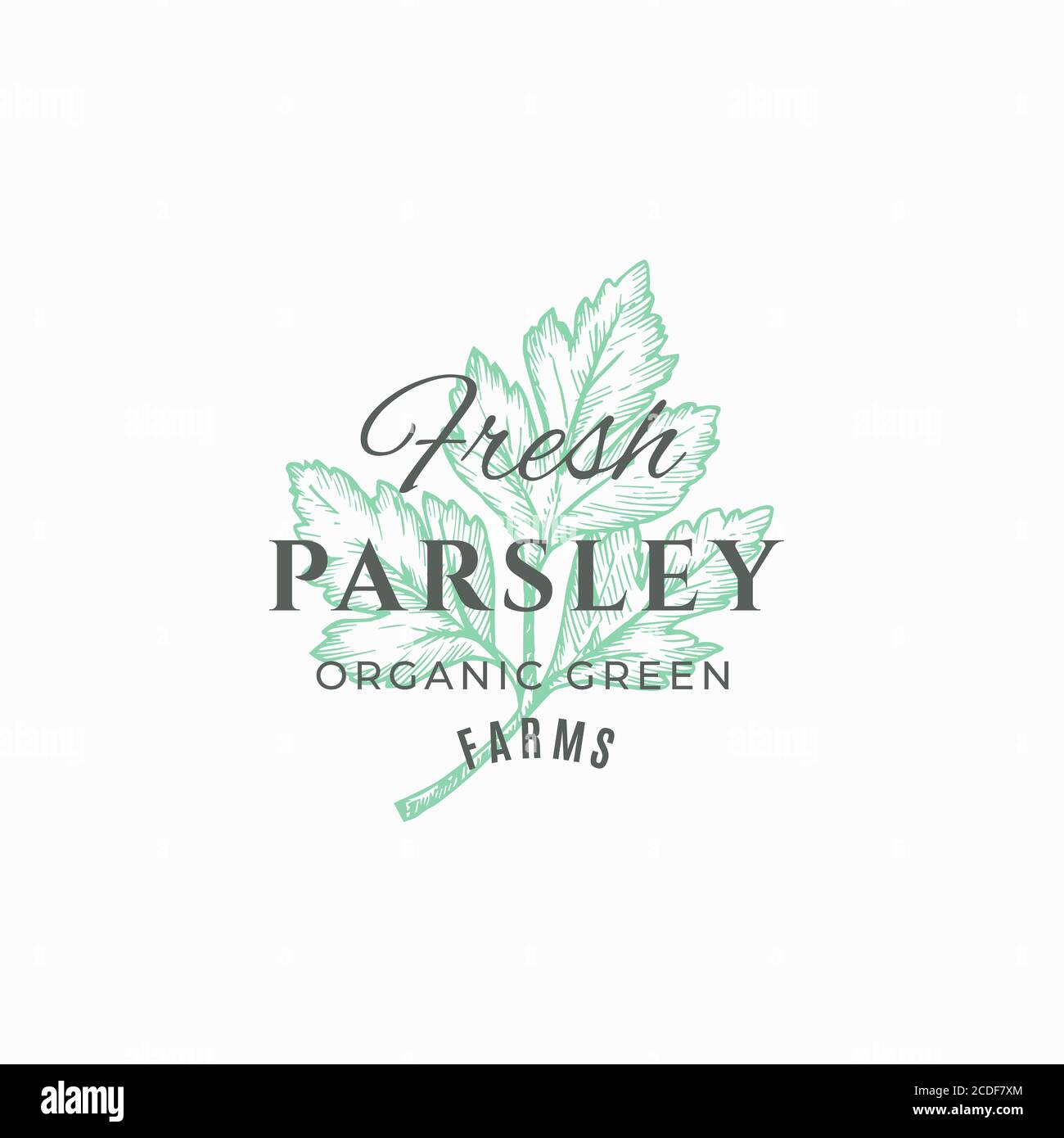 Fresh Parsley Abstract Vector Sign, Symbol or Logo Template. Green ...