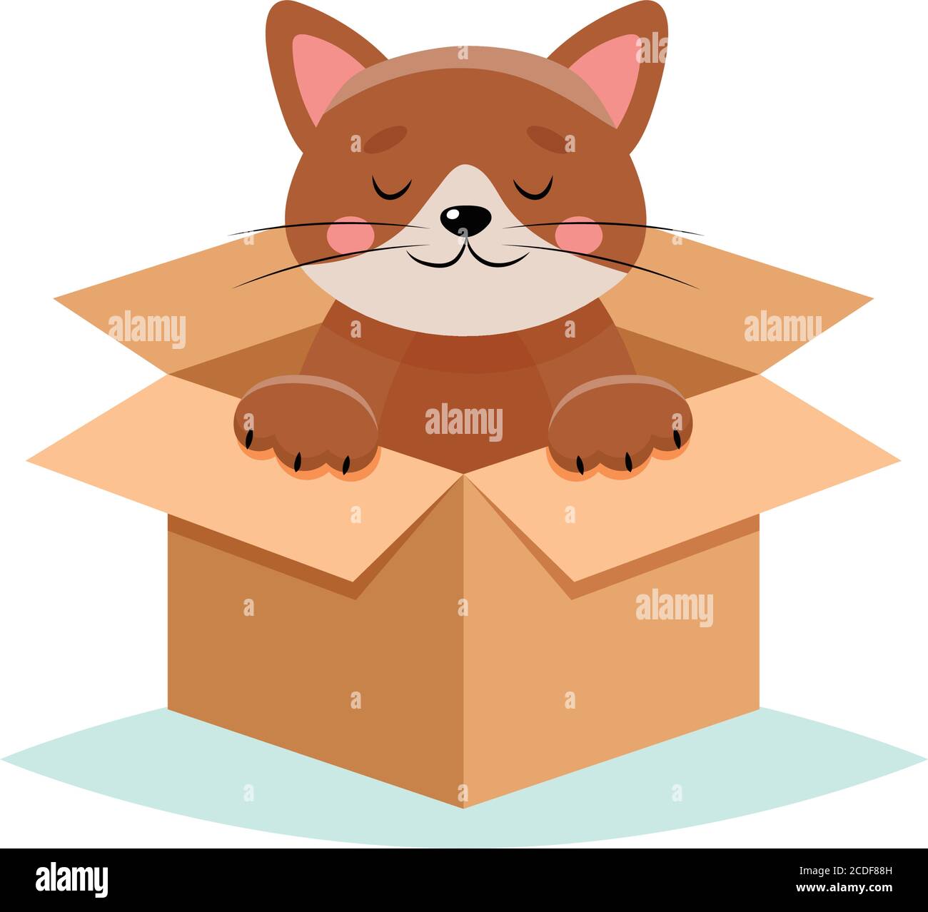 Adopt a pet - cute cat in a box, isolated on white background Stock ...