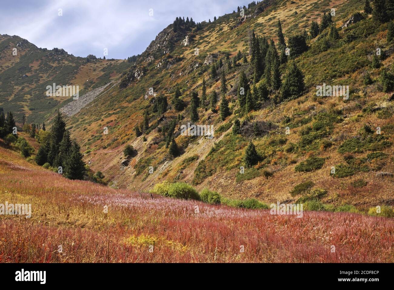 Medeo valley. Kazakhstan Stock Photo - Alamy