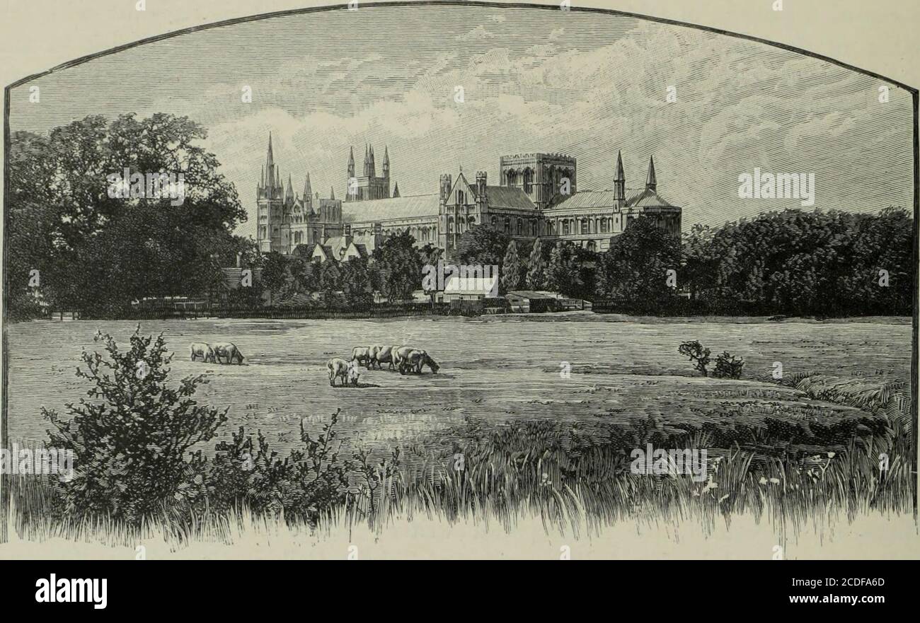 James pocklington hi-res stock photography and images - Alamy