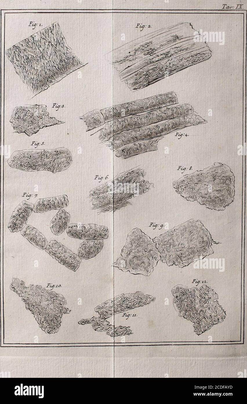 . Traité sur le vénin de la vipere, sur les poisons americains, sur le ...