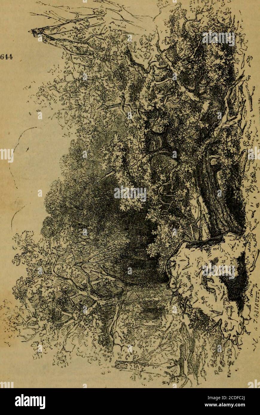 . Arboretum et fruticetum Britannicum; or, The trees and shrubs of ...