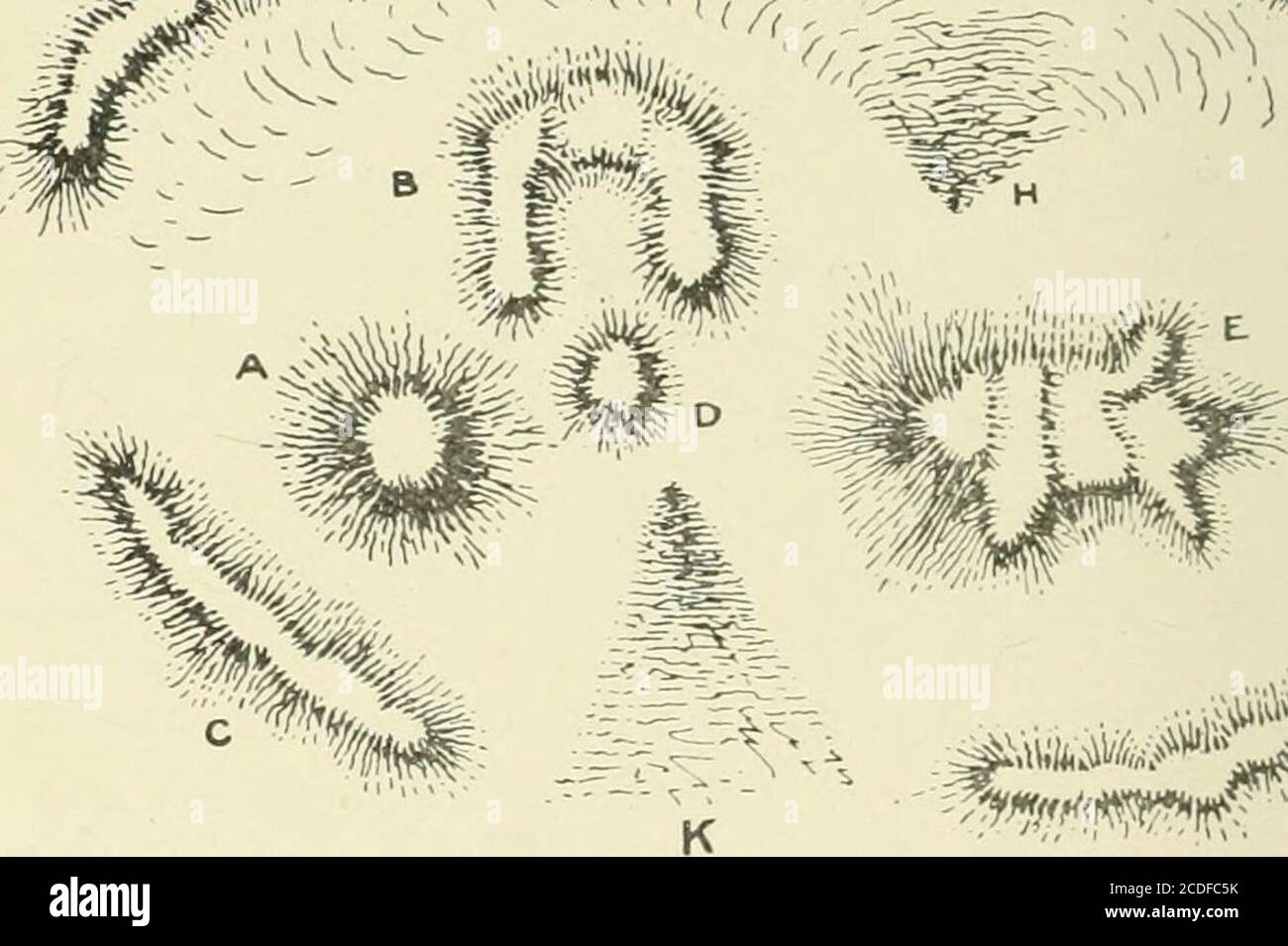 Eruptions of scoria hi-res stock photography and images - Alamy