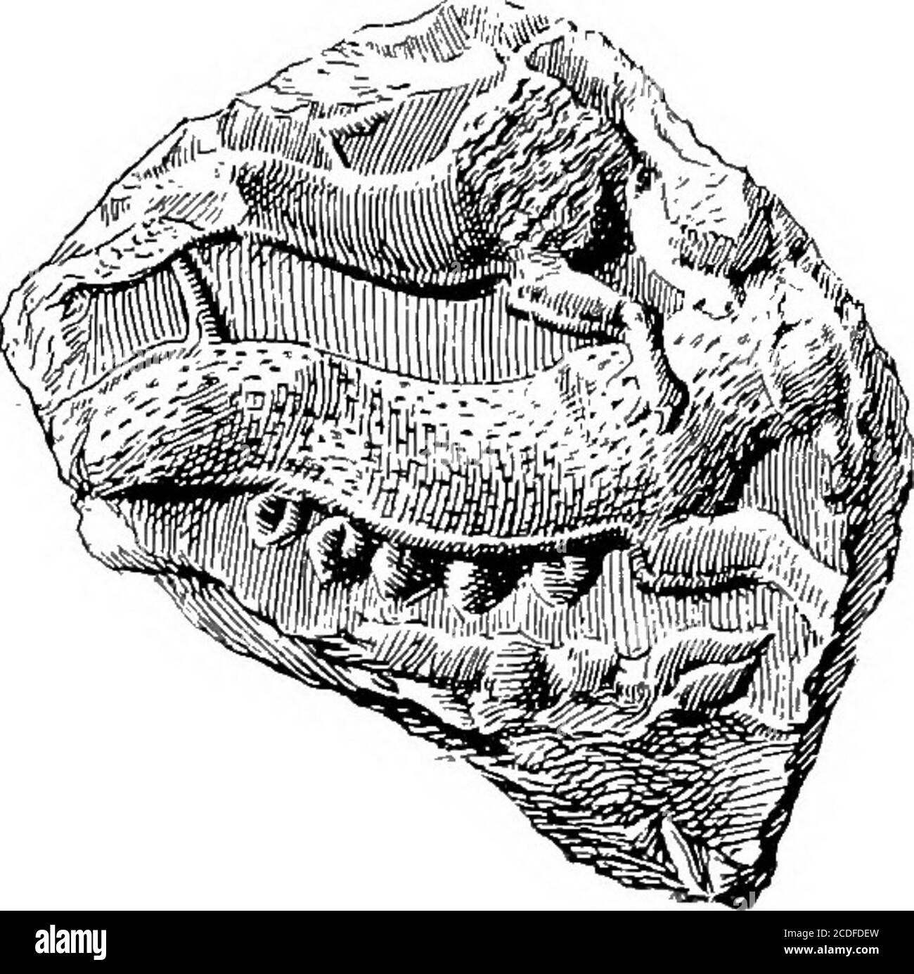. The palace of Minos : a comparative account of the successive stages ...
