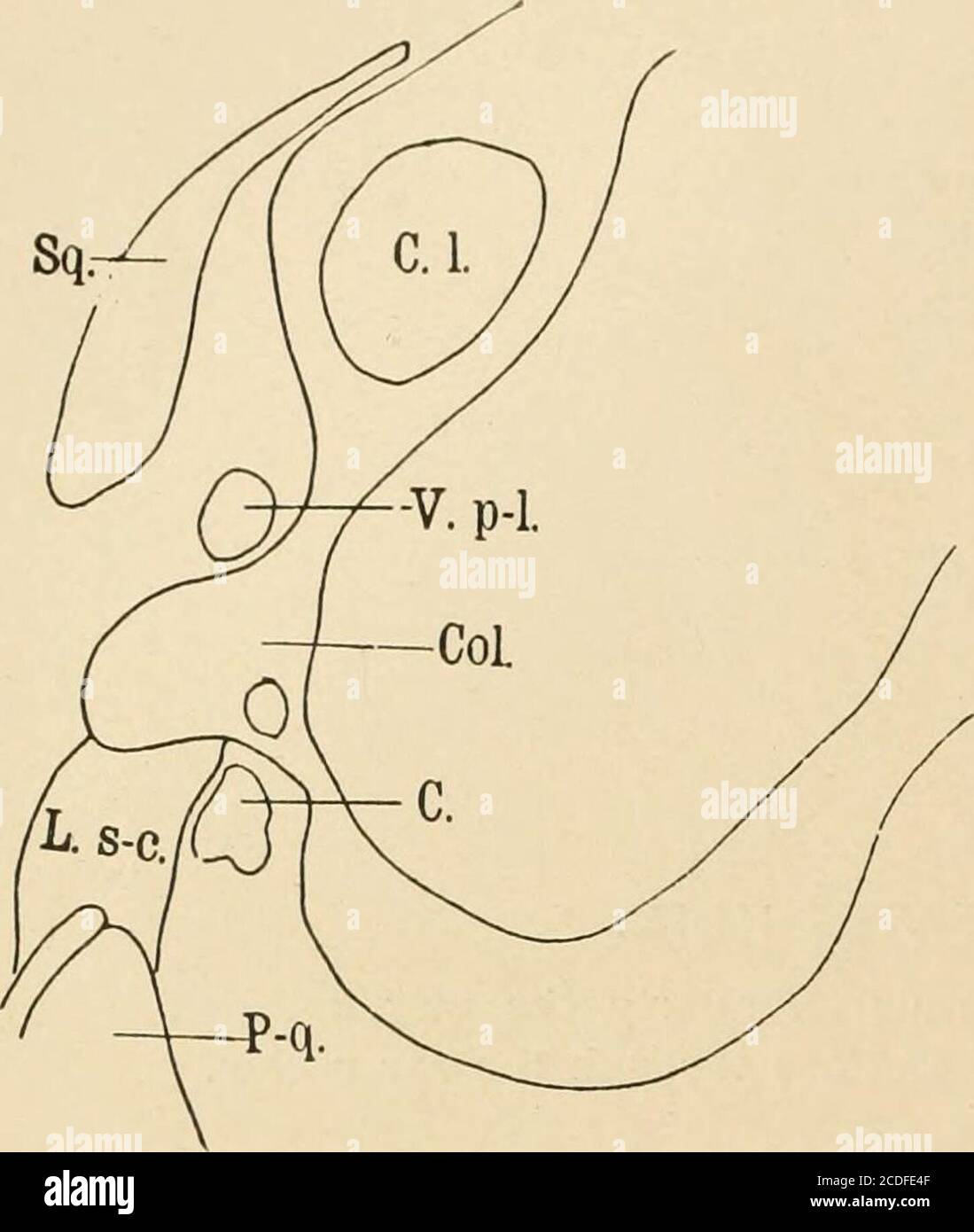 Caudad region hi-res stock photography and images - Alamy