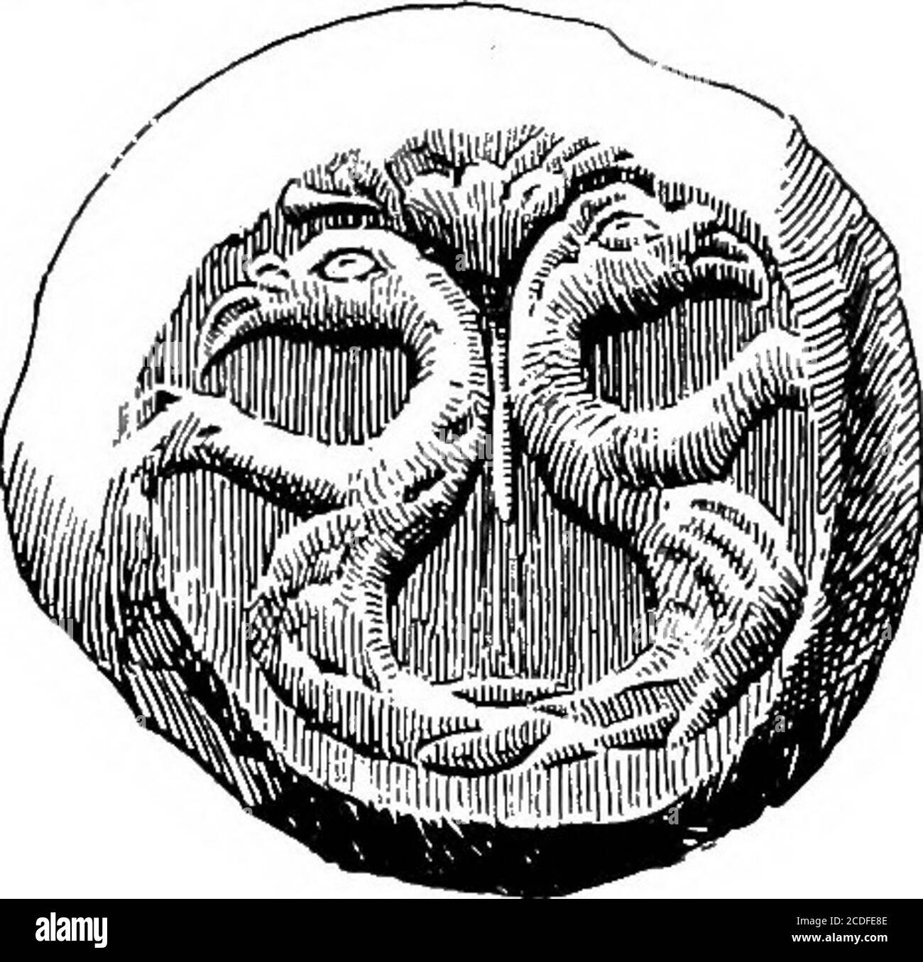 . The palace of Minos : a comparative account of the successive stages ...