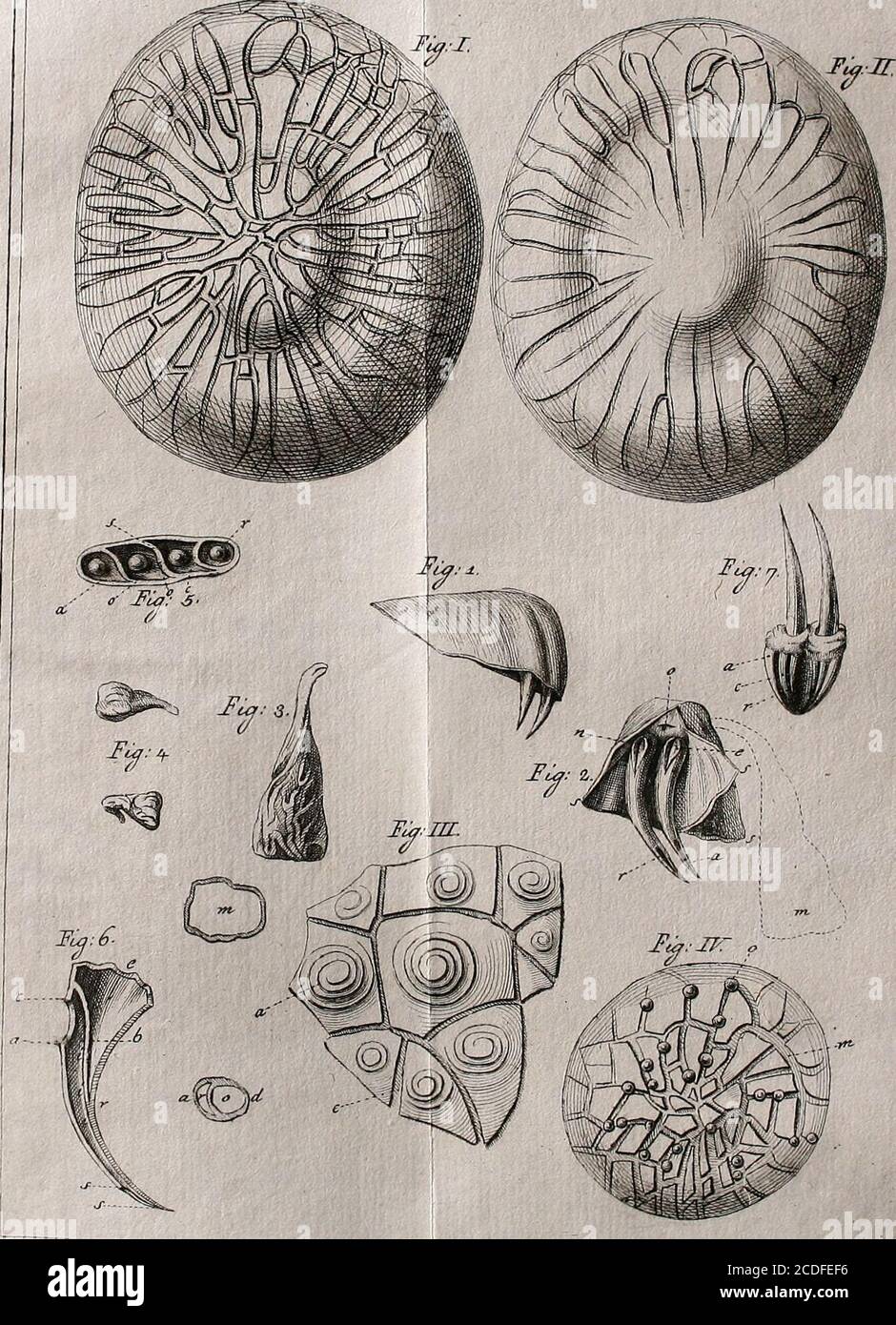 . Traité sur le vénin de la vipere, sur les poisons americains, sur le ...