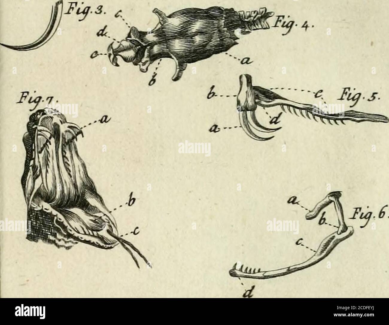 . Traité sur le vénin de la vipere, sur les poisons americains, sur le ...