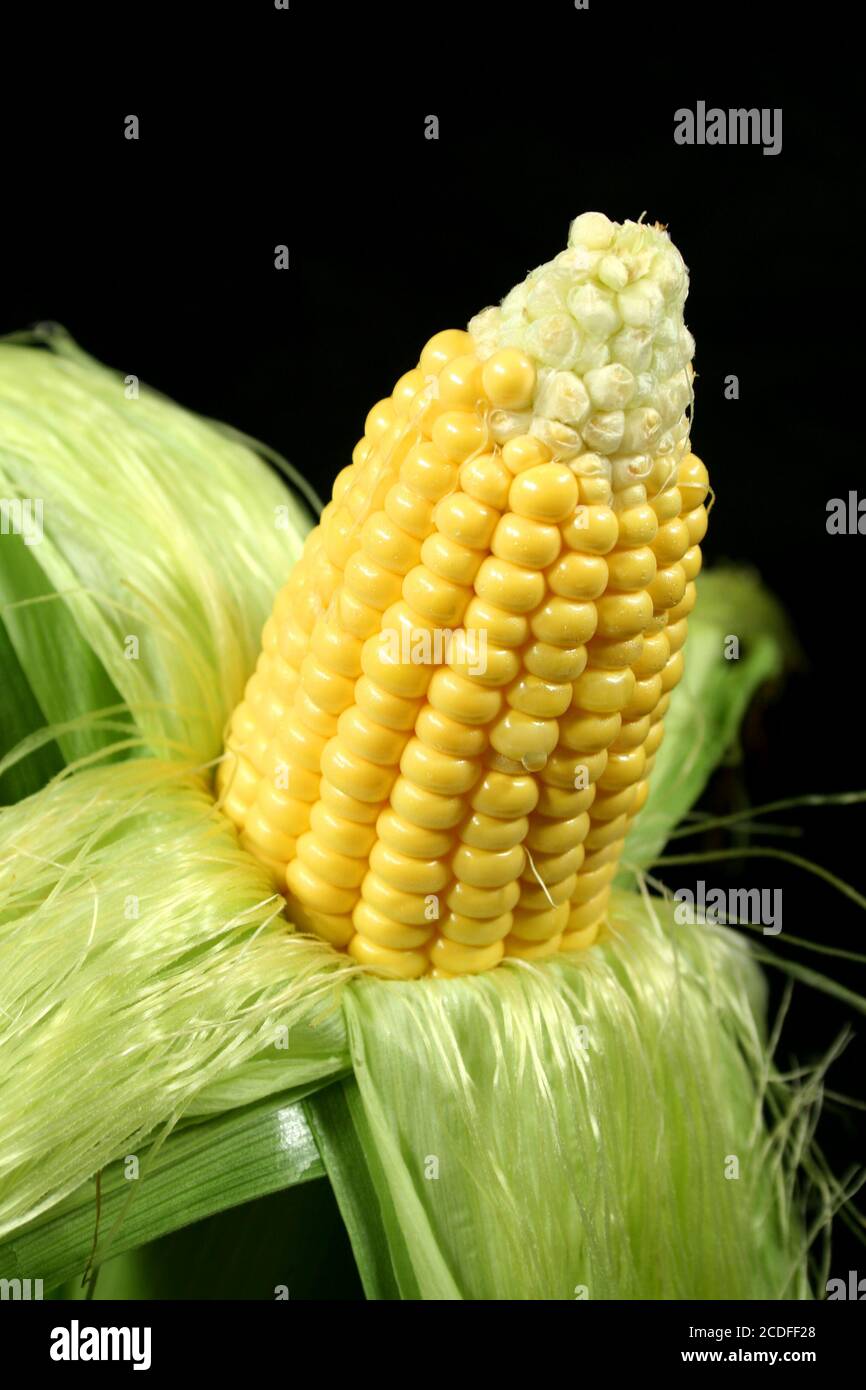 Unprocessed kernels hi-res stock photography and images - Alamy
