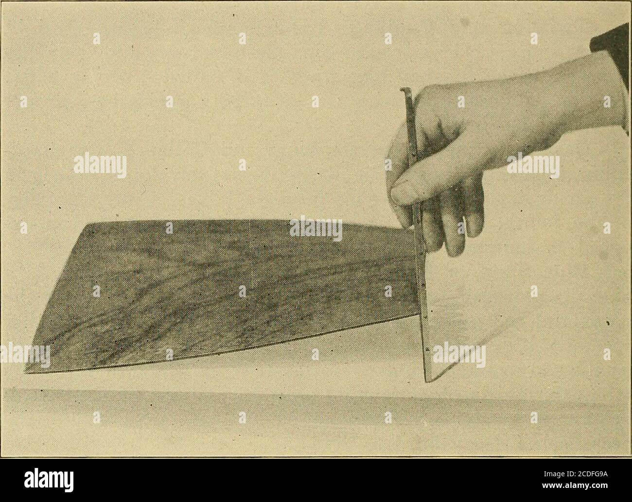 Sapwood decay hi-res stock photography and images - Alamy