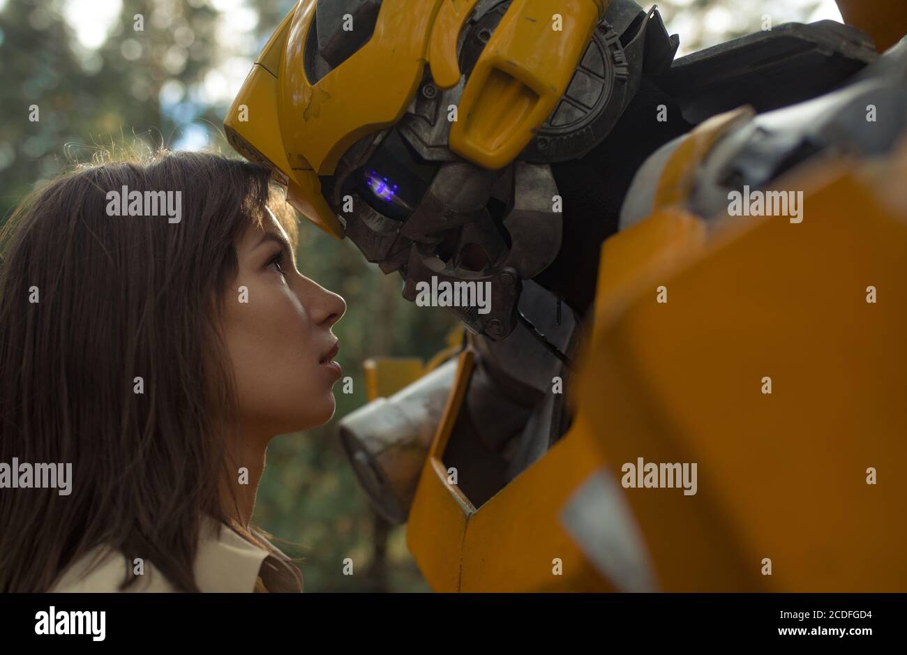 Bumblebee transformer hi-res stock photography and images - Alamy