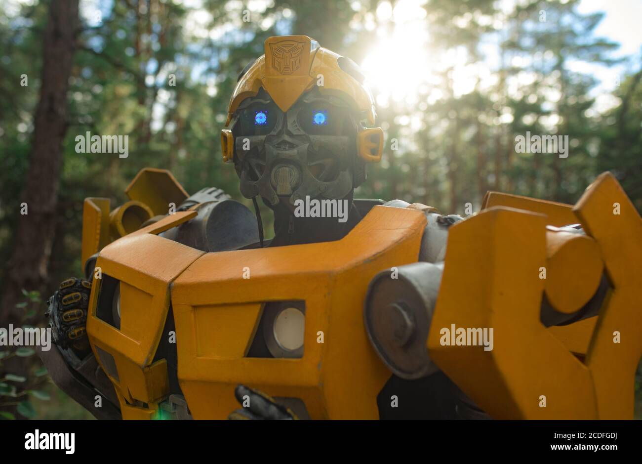 Bumblebee transformer hi-res stock photography and images - Alamy