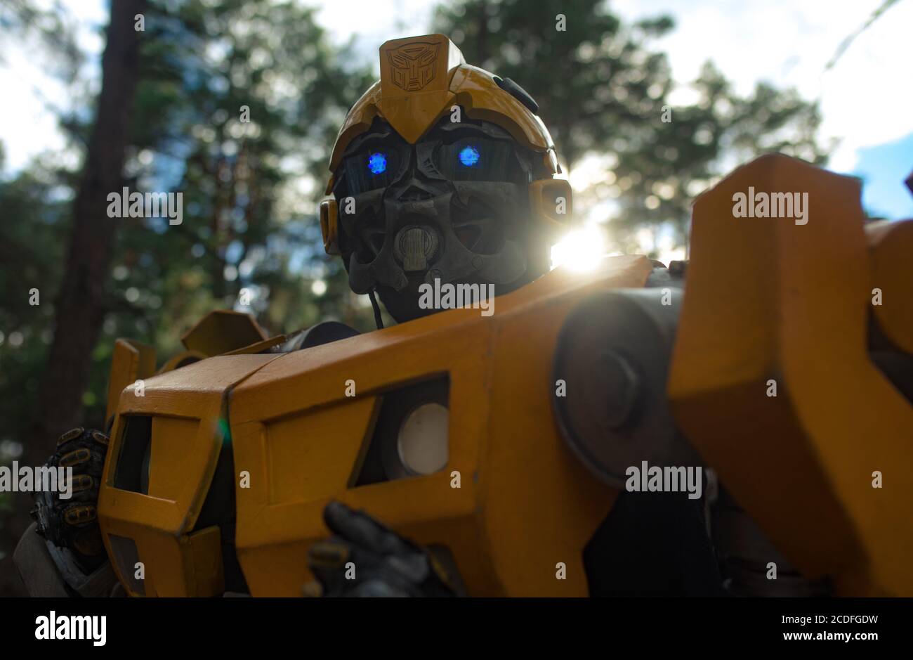 Bumblebee transformer hi-res stock photography and images - Alamy
