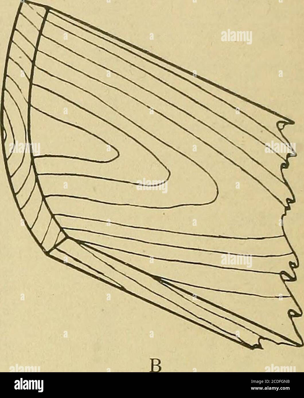 Fiber saturation point hi-res stock photography and images - Alamy