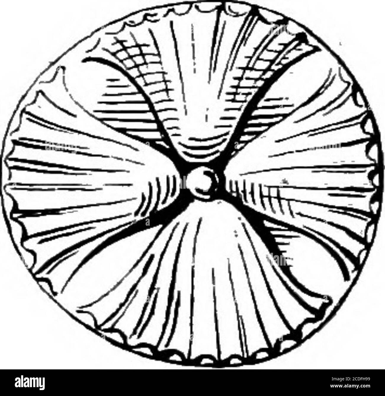 . The palace of Minos : a comparative account of the successive stages ...