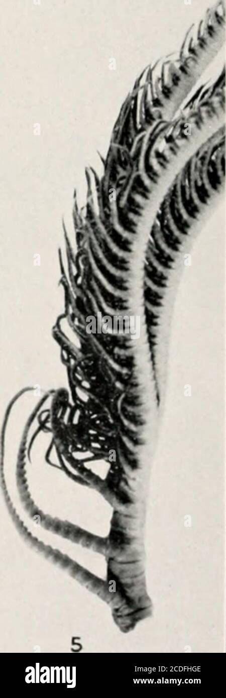 Gometra hi-res stock photography and images - Alamy