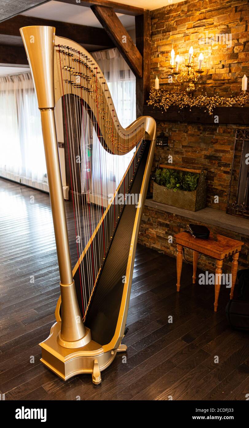Gold harp hi-res stock photography and images - Alamy