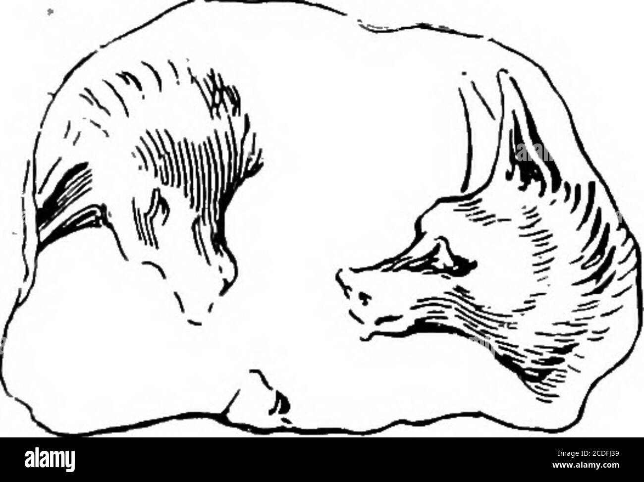 . The palace of Minos : a comparative account of the successive stages ...