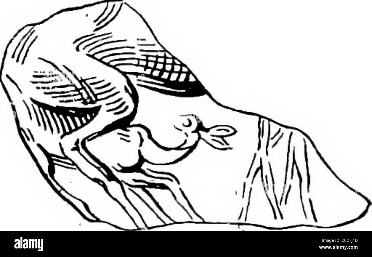 . The palace of Minos : a comparative account of the successive stages ...