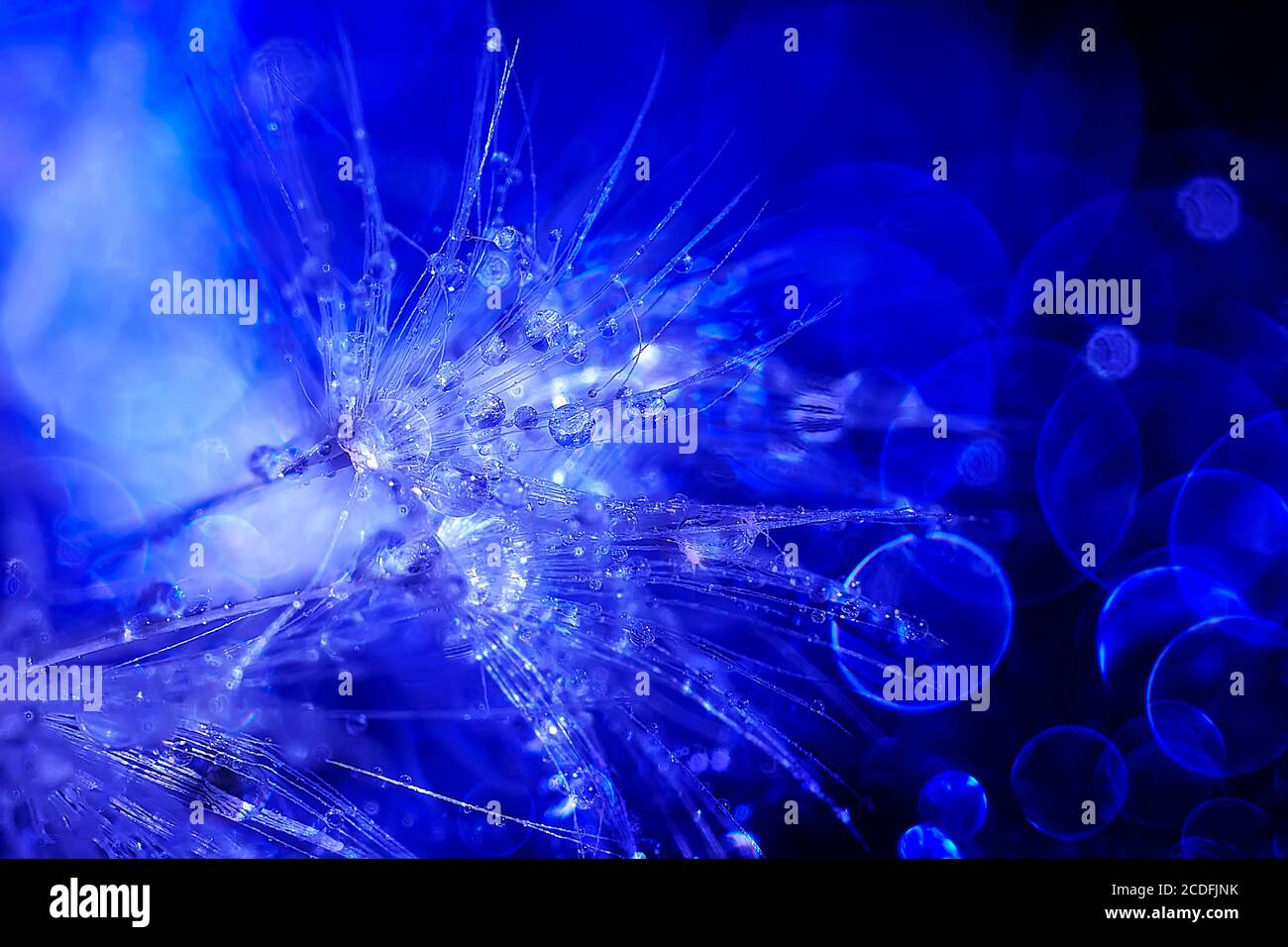 Blue abstract with drops and flaff Stock Photo - Alamy