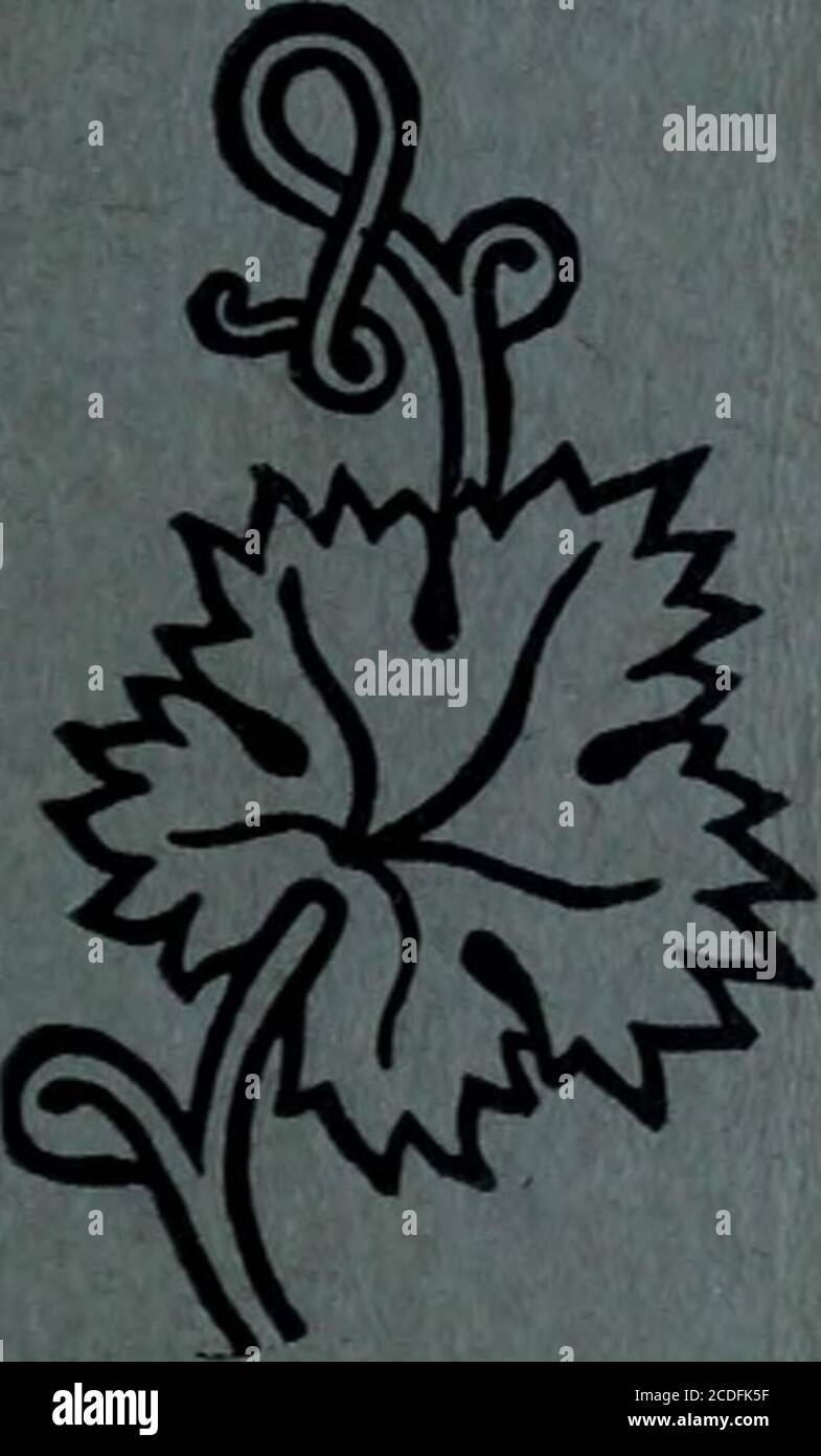 . The First Mohawk primer . BK3HH ^ I. montreal H0$ THE FIRST ...