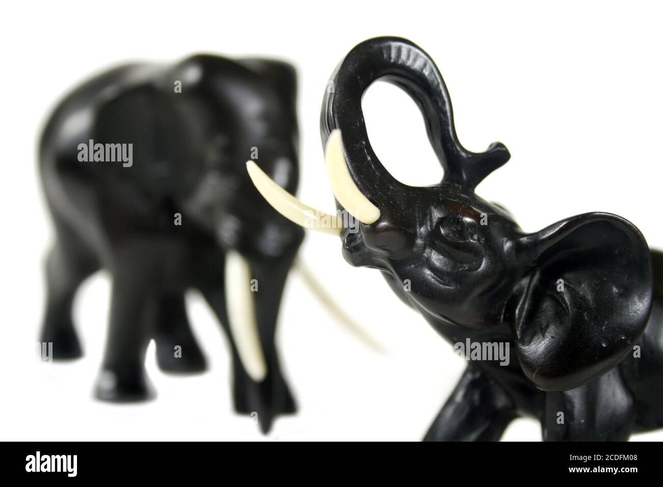 Black Elephants 2 Stock Photo - Alamy