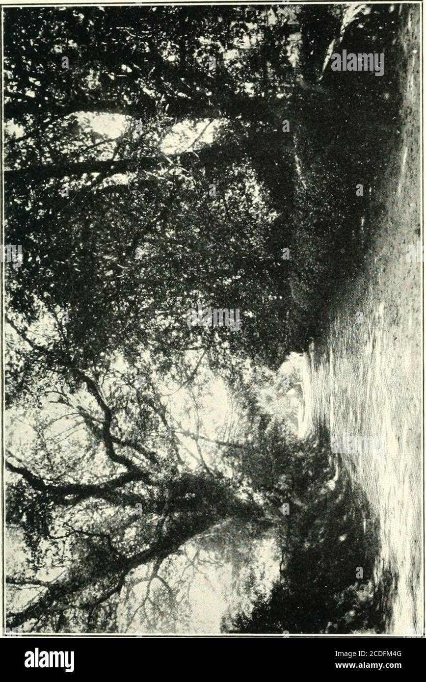 Charles tennyson turner hi-res stock photography and images - Alamy