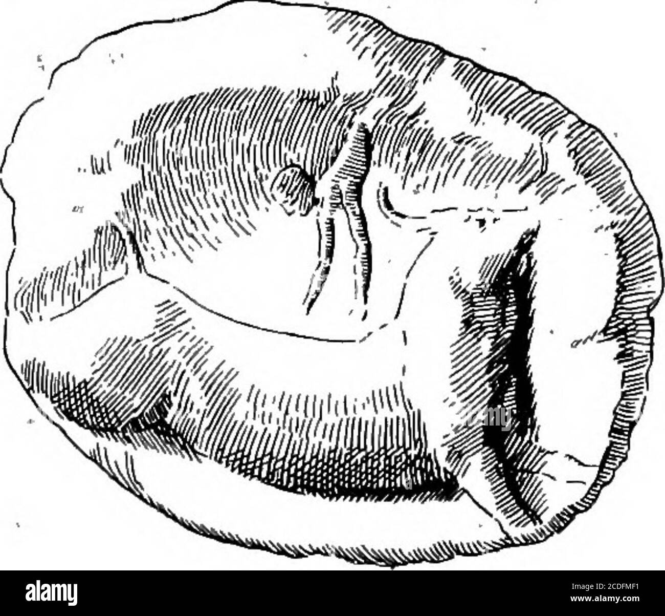 . The palace of Minos : a comparative account of the successive stages ...