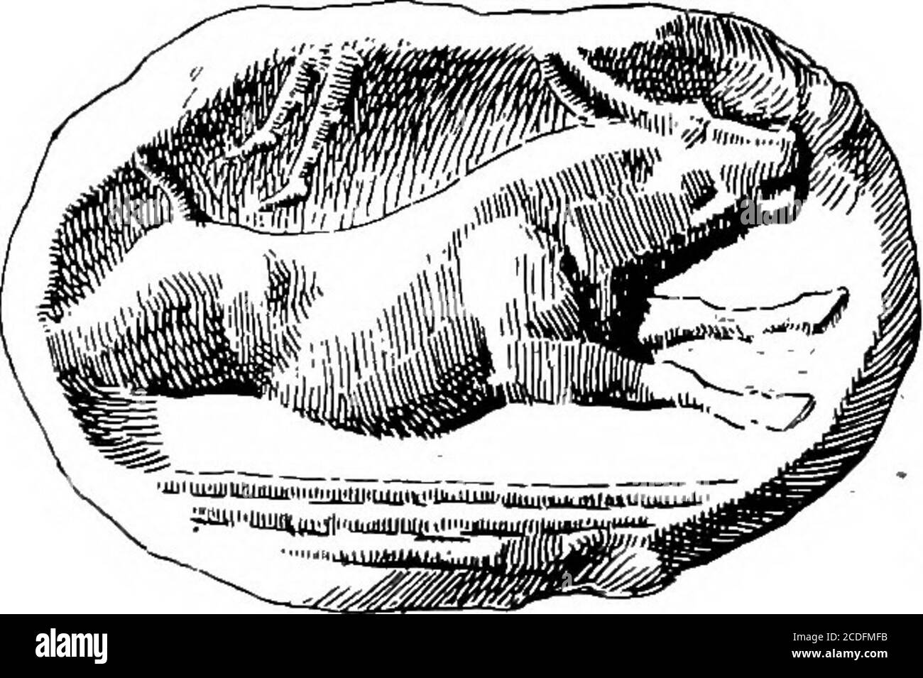 . The palace of Minos : a comparative account of the successive stages ...