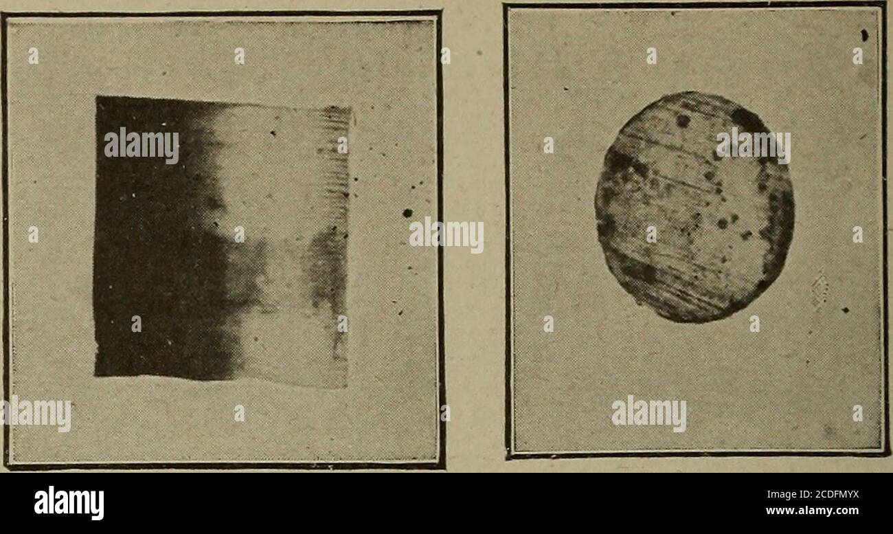 . Typical cases of the deterioration of muntz metal (60:40 brass) by ...