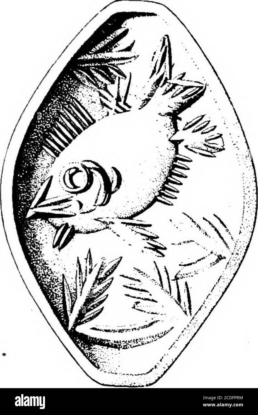 . The palace of Minos : a comparative account of the successive stages ...