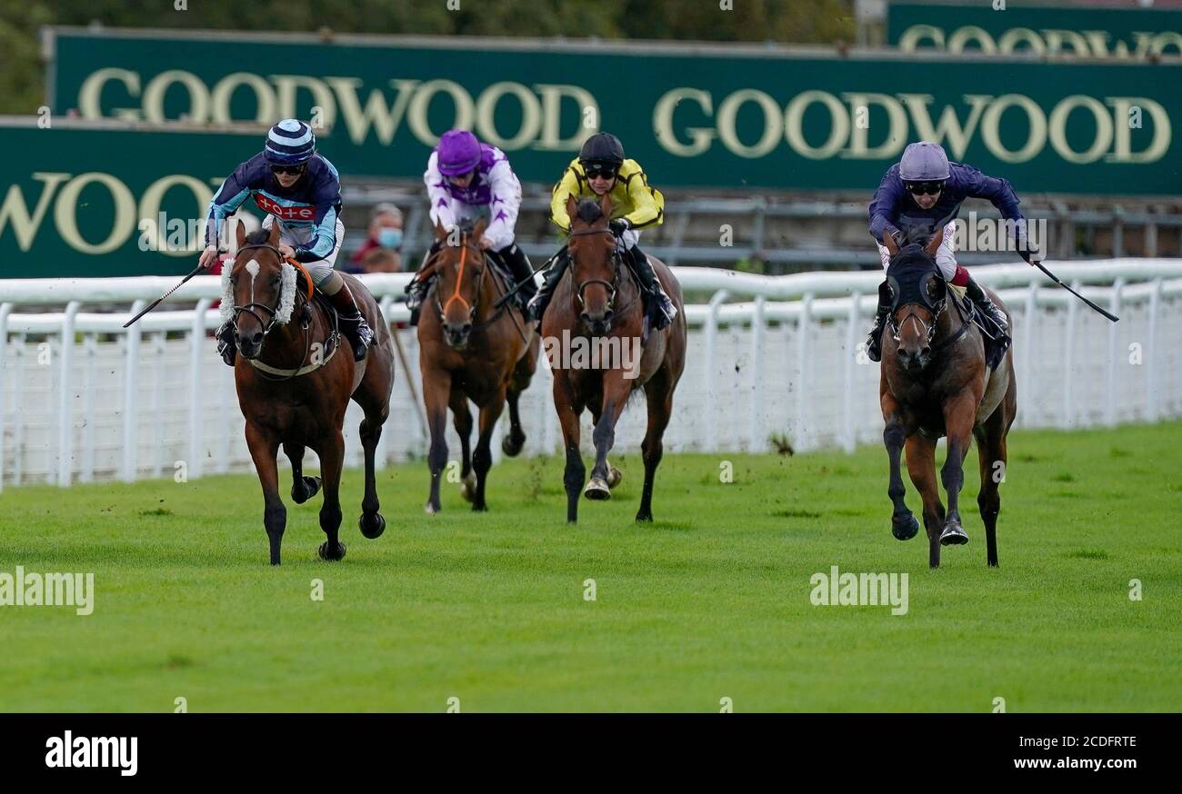Laura Coughlan riding Wholelotafun (left) win The Chichester Observer ...