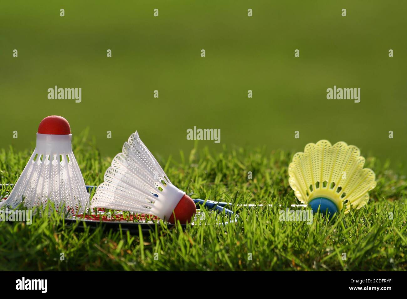 Badminton racket with shuttlecocks in the grass Stock Photo - Alamy