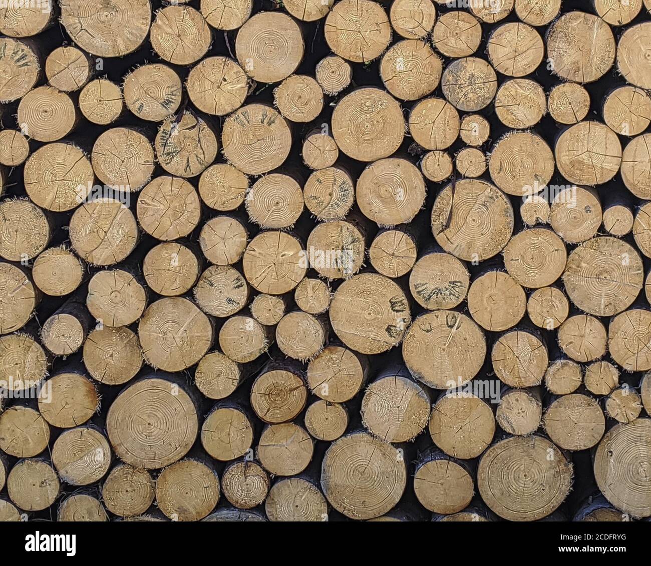 Round timbers hi-res stock photography and images - Alamy