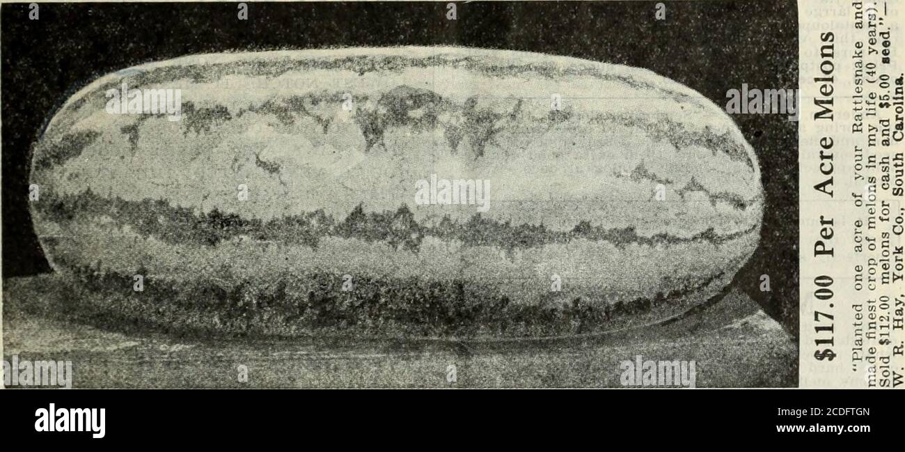 Miss hooper miss hooper hi-res stock photography and images - Alamy