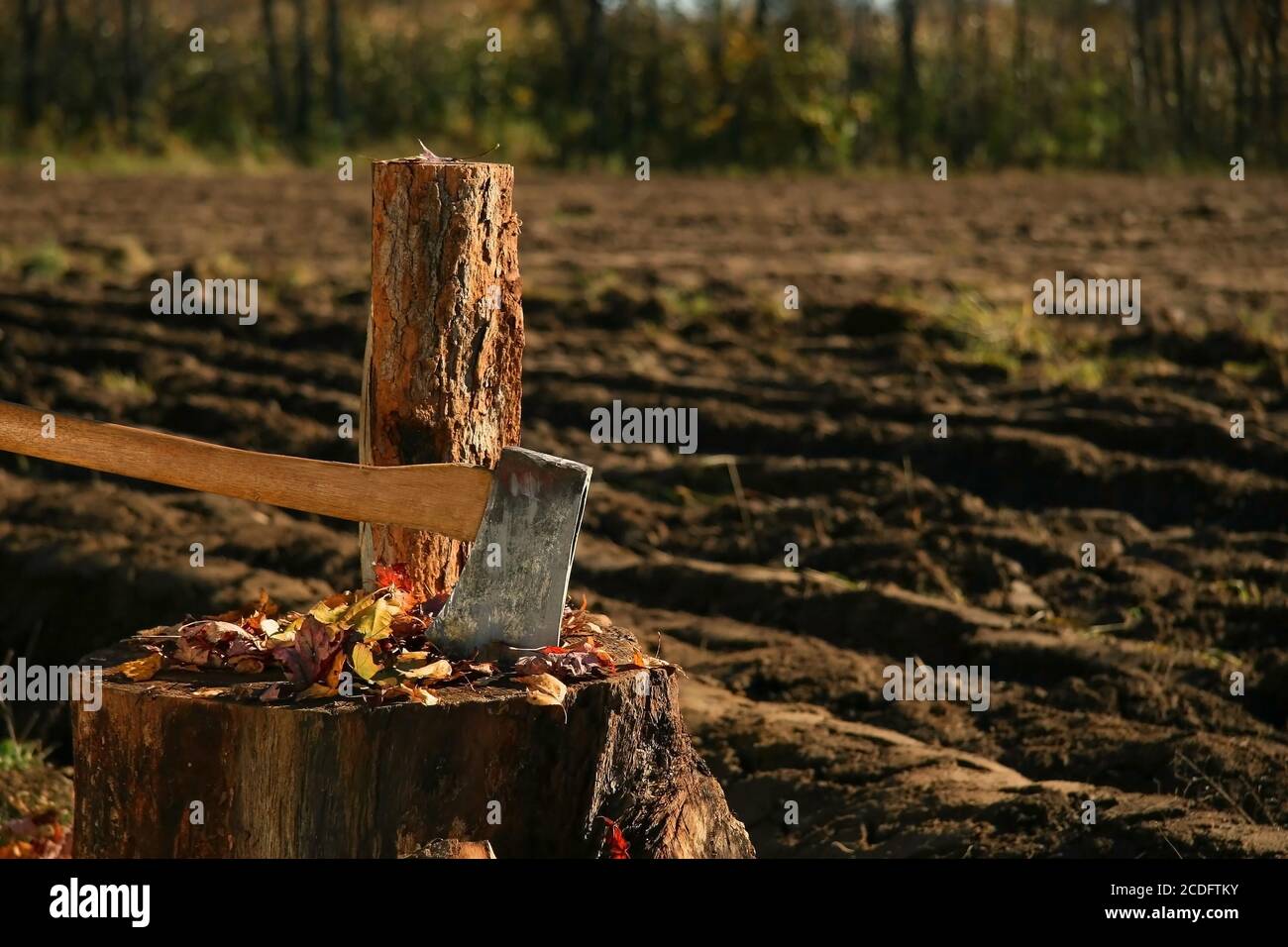 Chopping wood chopper close hi-res stock photography and images - Alamy