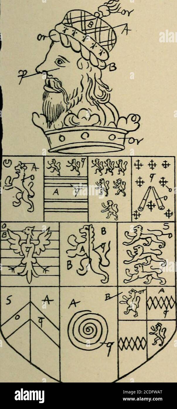 Annulets hi-res stock photography and images - Alamy