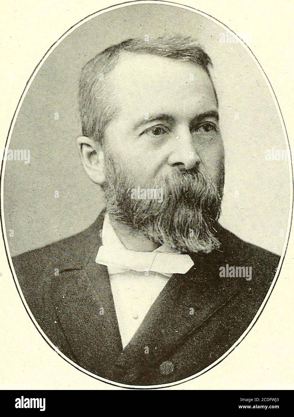 Kelly 2d hi-res stock photography and images - Alamy