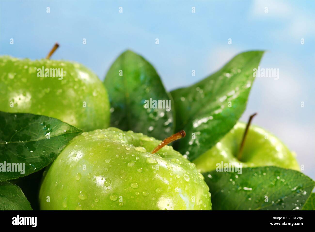Shining Apples High Resolution Stock Photography and Images - Alamy