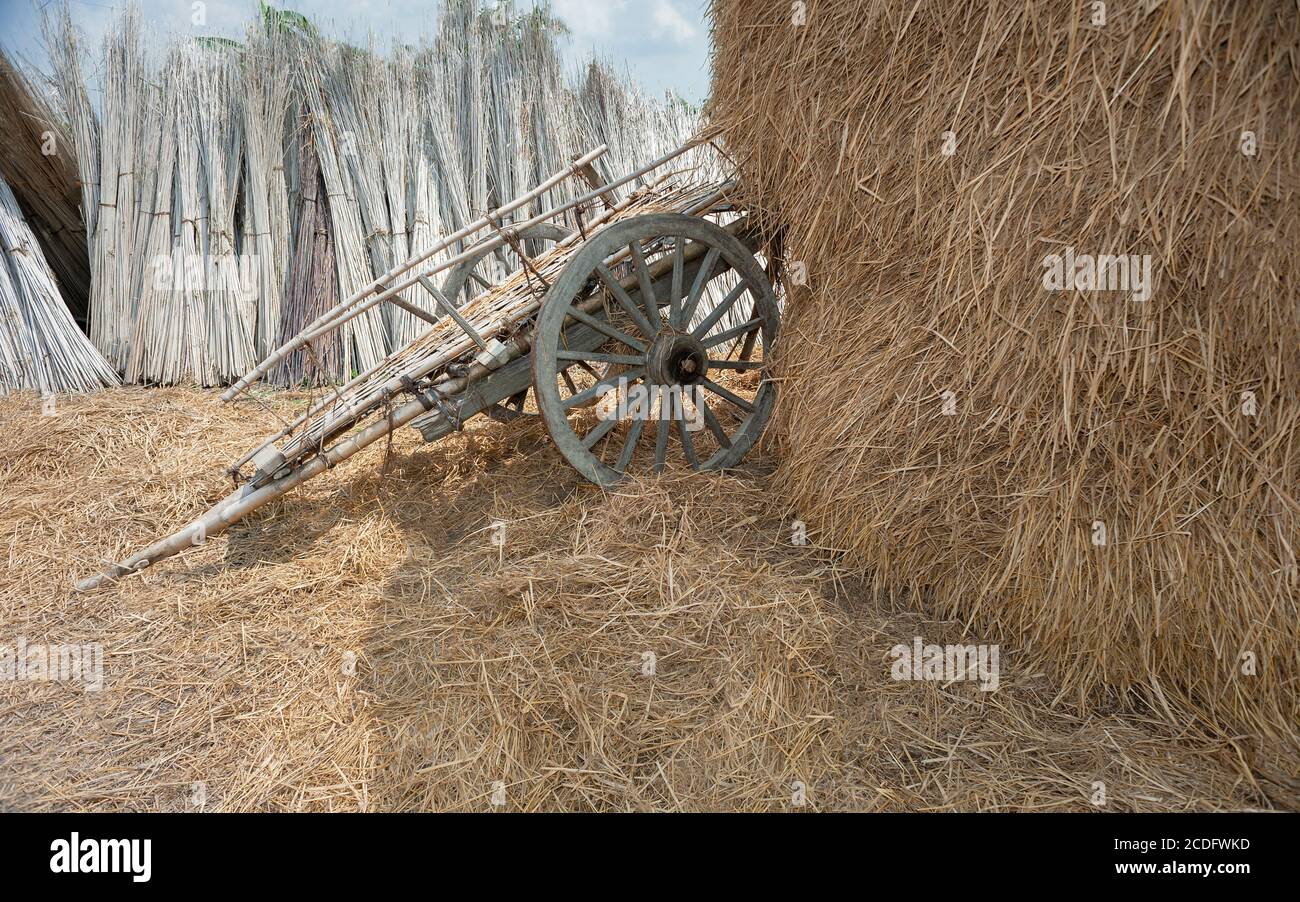 Traditional wooden cart used for transport of harvest and flanked by ...