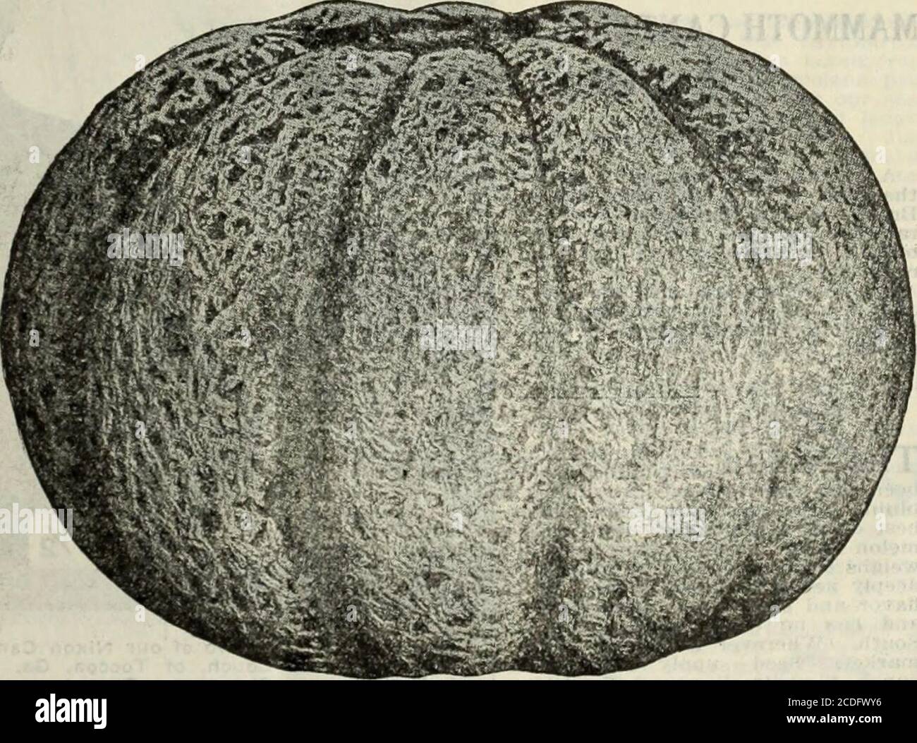 Guano production hi-res stock photography and images - Alamy