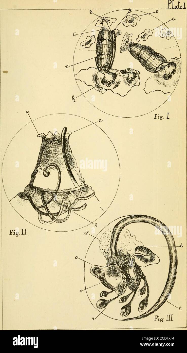 William varley hi-res stock photography and images - Alamy