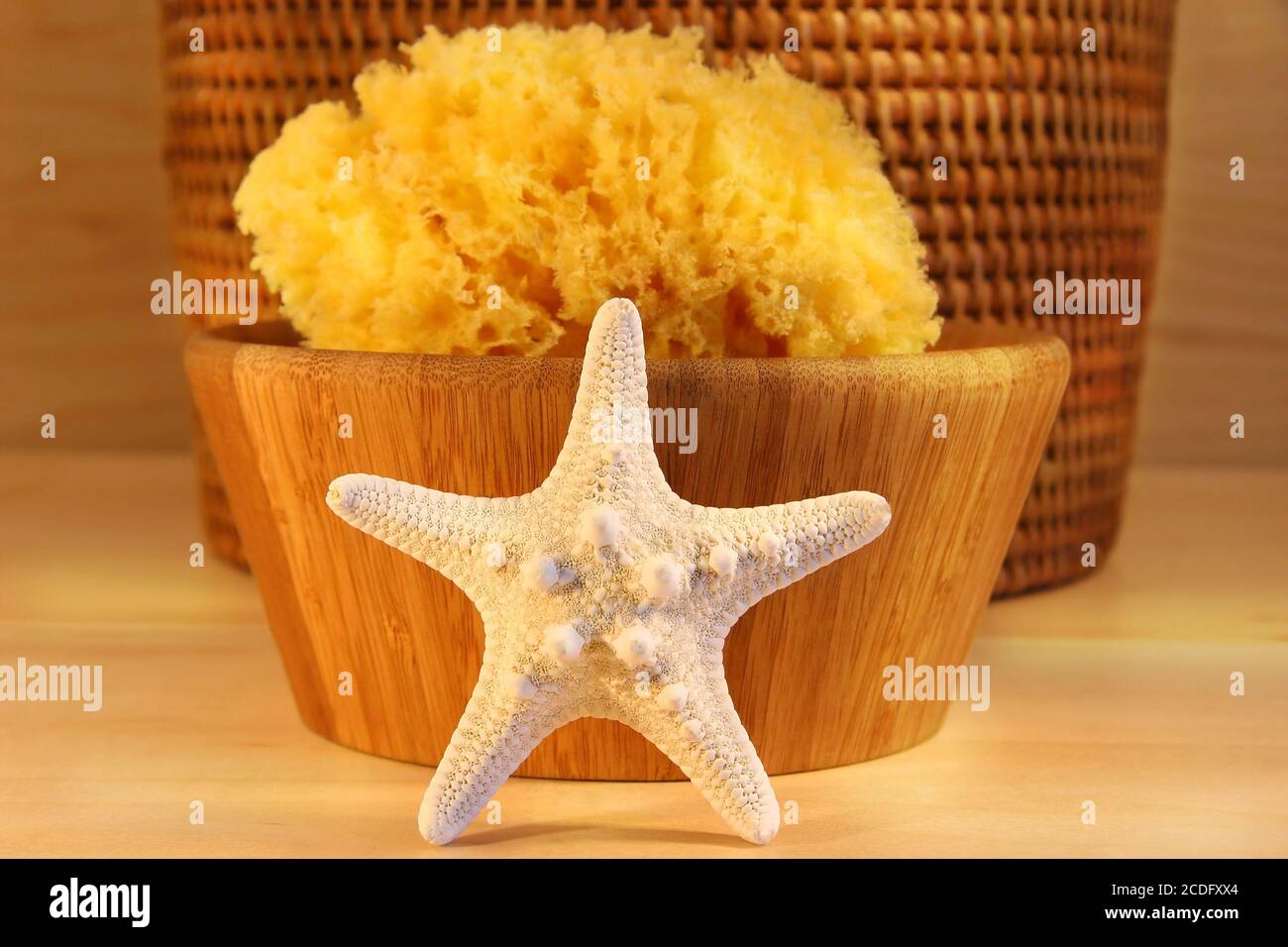 Little white starfish Stock Photo - Alamy