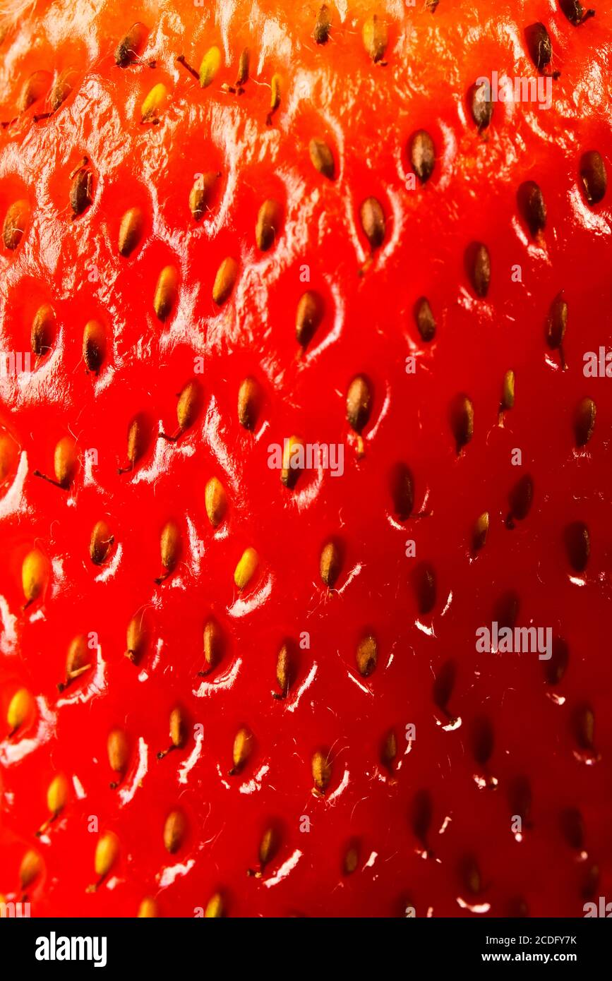 Strawberry Skin Texture