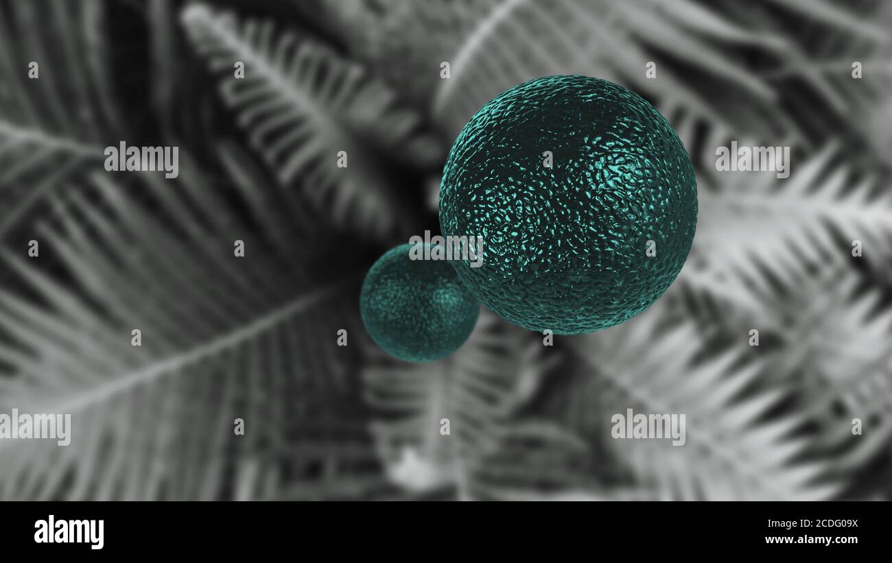 Green balloons in the air. Top view. Blurred fern leaves. Black and ...