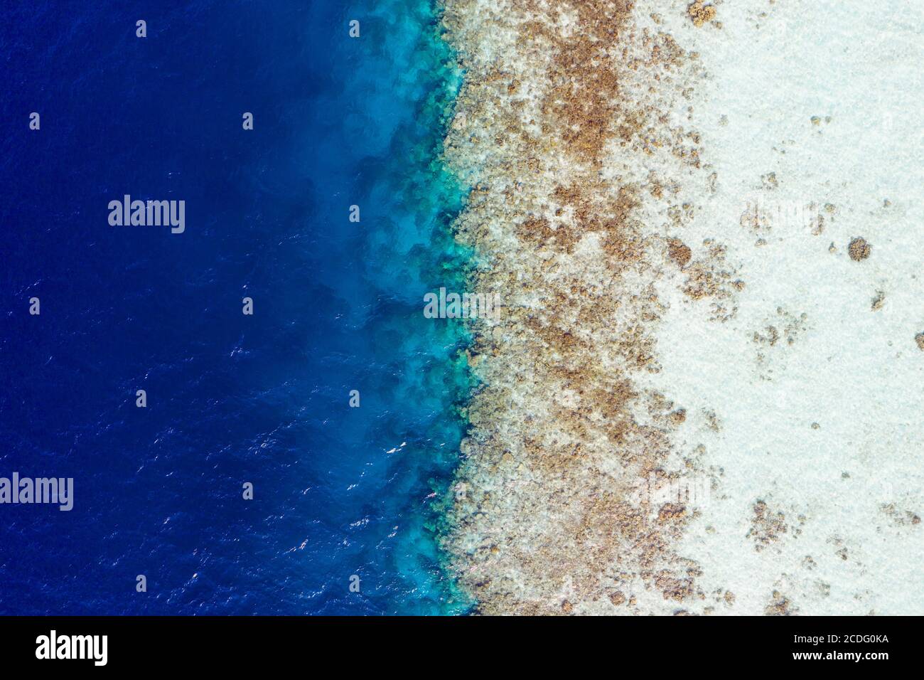 Reef Tour High Resolution Stock Photography and Images - Alamy