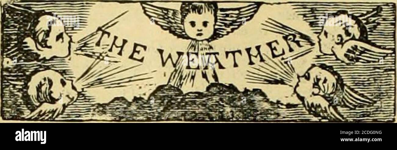 Vermin proof fence hi-res stock photography and images - Alamy