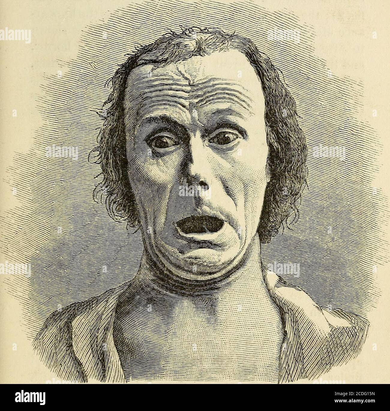 Transverse wrinkles hi-res stock photography and images - Alamy