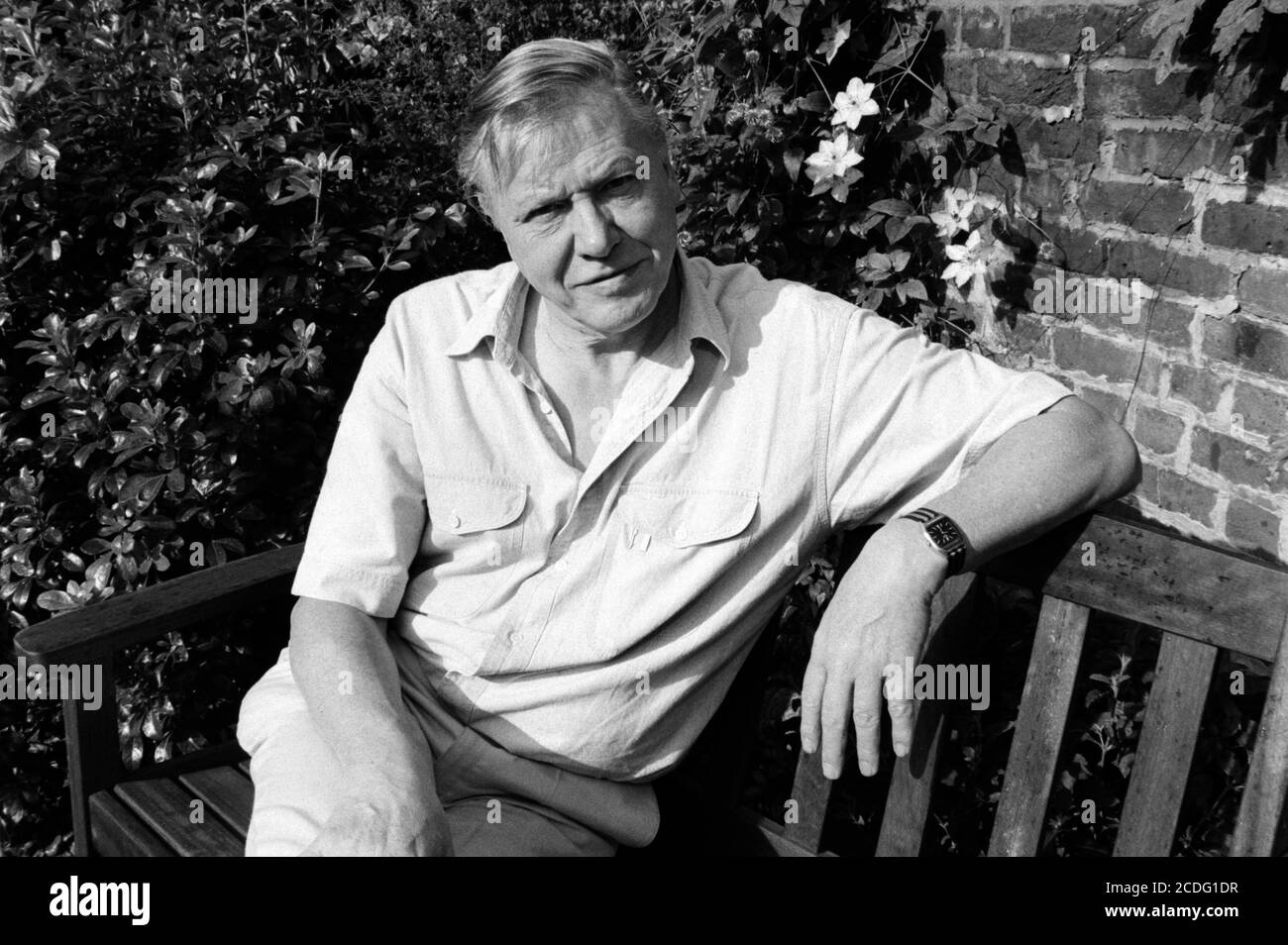 David Attenborough portrait at his home in Richmond, Surrey. 23 August ...