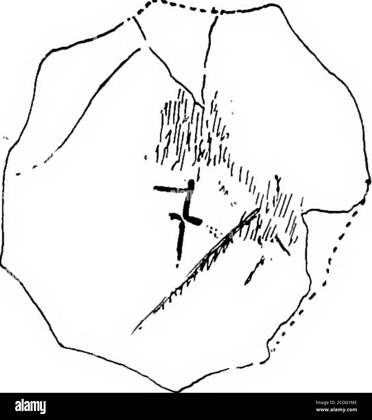 . The palace of Minos : a comparative account of the successive stages ...